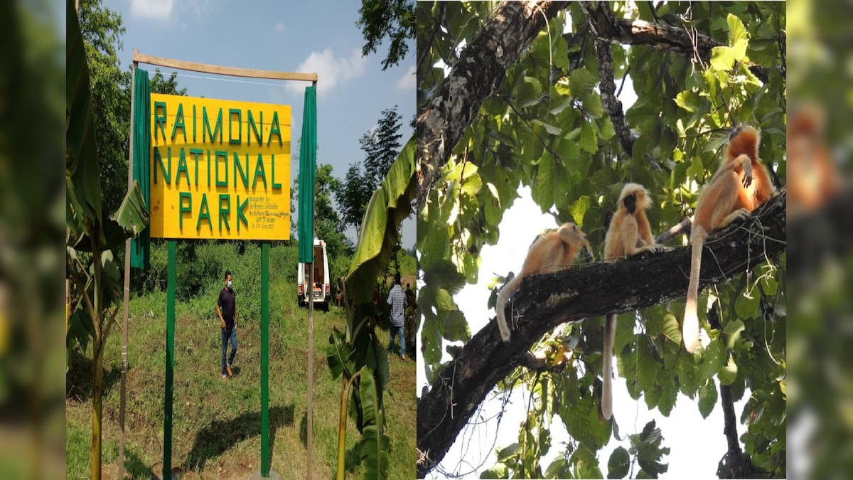 raimona-national-park-can-be-a-game-changer-for-assams-forest ...