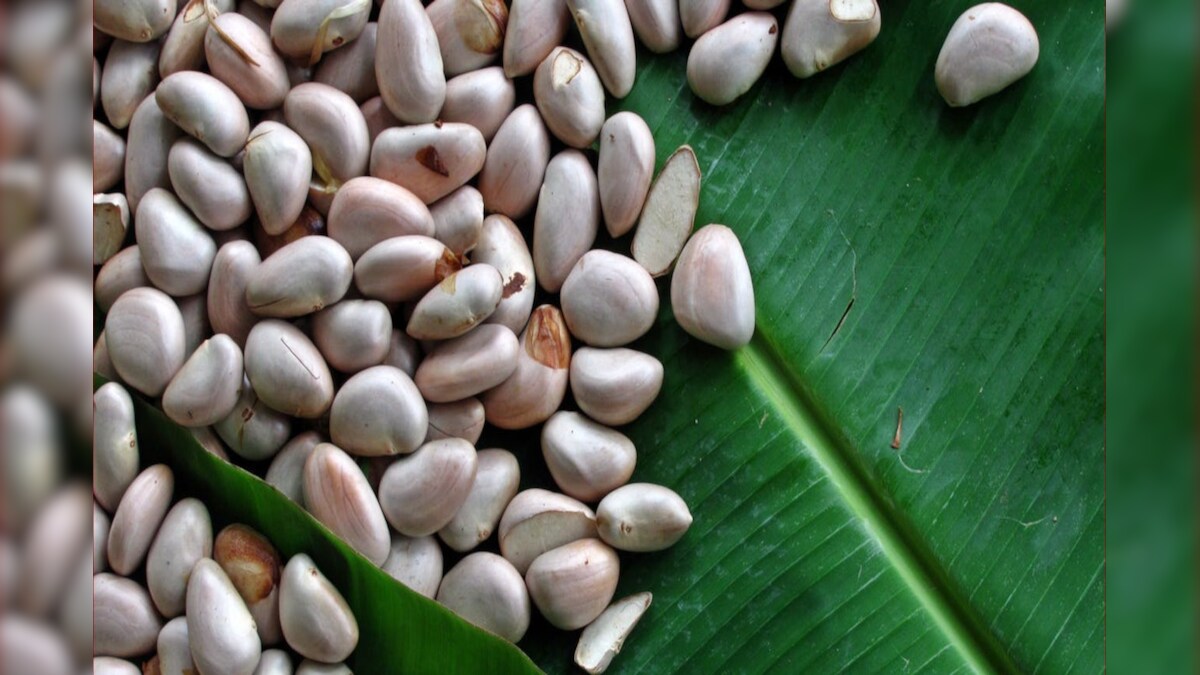 5 reasons why it is important to eat jackfruit seedsযি ৫টা কাৰণত কঁঠালৰ ...