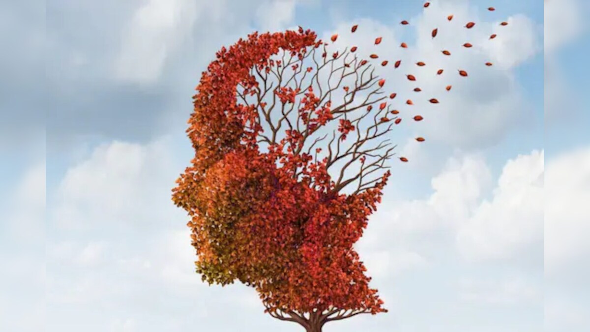 viral-man-with-1-day-memory-forgets-everything-after-waking-up-short ...