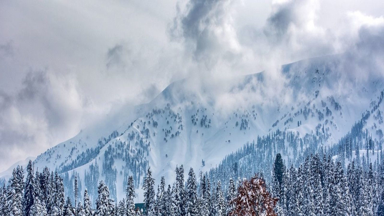 Experience Snow This Winter: এই শীতকালত দম্পতিসকলে বৰফৰ আনন্দ লোৱাৰ ...