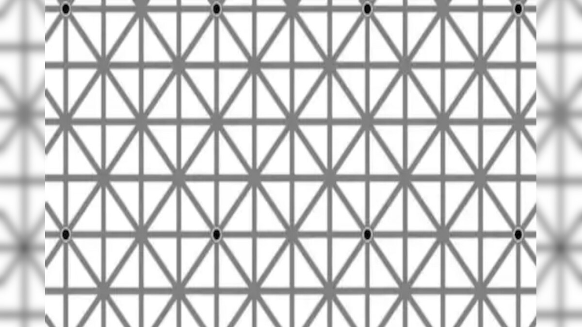 viral optical illusion can you see 12 black dots at the same time in ...