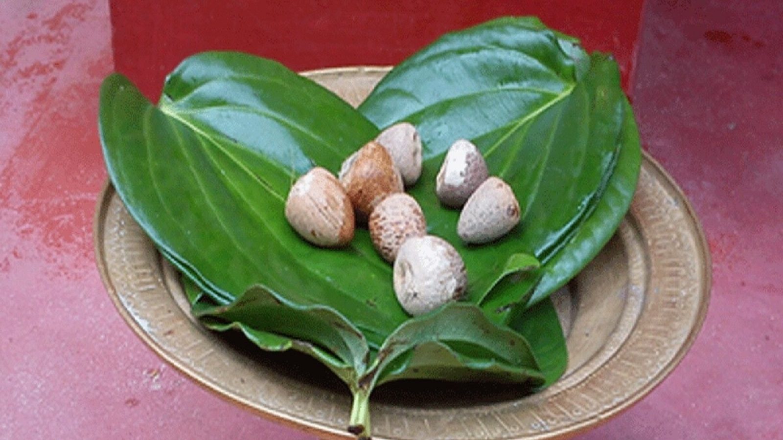 Paan in Puja: পূজাত কিয় ব্যৱহাৰ কৰা হয় পাণ, পূজাত পাণৰ মহত্ব কি ...