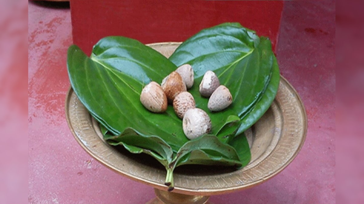 why betel is used in worship when it started – News18 অসমীয়া
