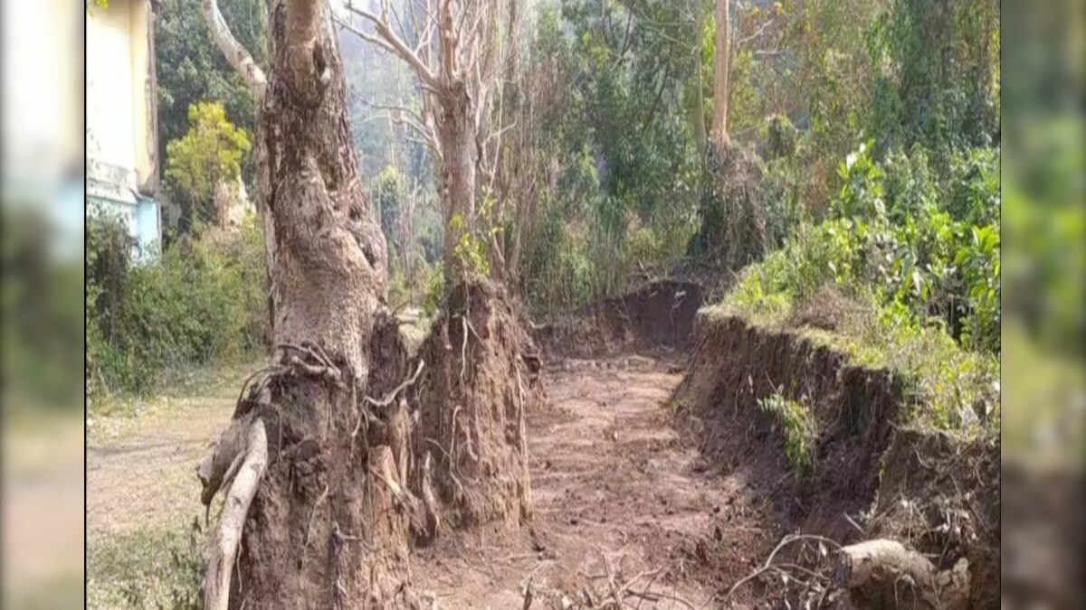 Land mafia activities in the forest near Nagaon paper mill on Jagiroad ...