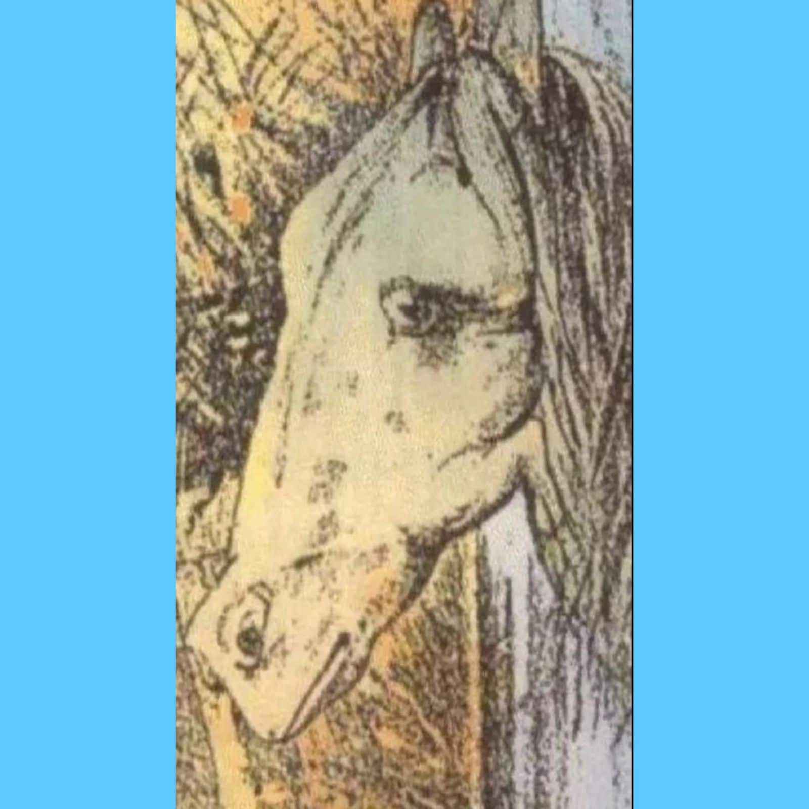 Optical Illusion: এই ছবিখনত আপুনি কেৱল ভেকুলী দেখিছে নেকি? ইয়াত আছে ...