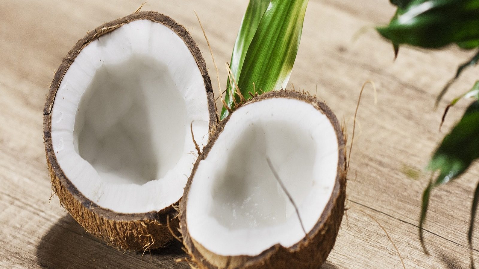 World Coconut Day: চুলি পকা, ছালৰ সমস্যা, কোষ্ঠকাঠিন্য! সকলোতে মহৌষধ ...