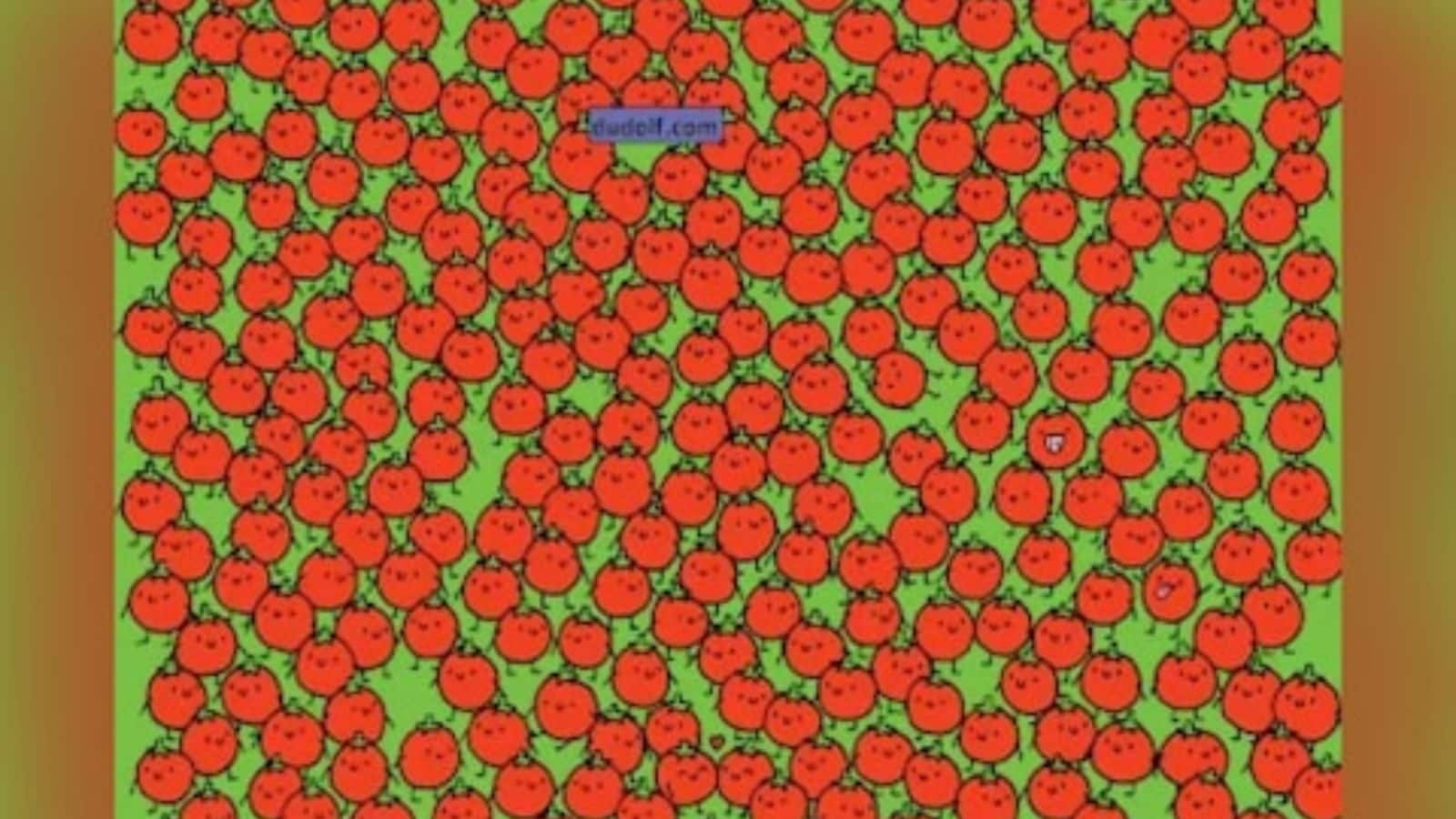 3 apples hidden in a bunch of tomatoes the artist gave a challenge to ...