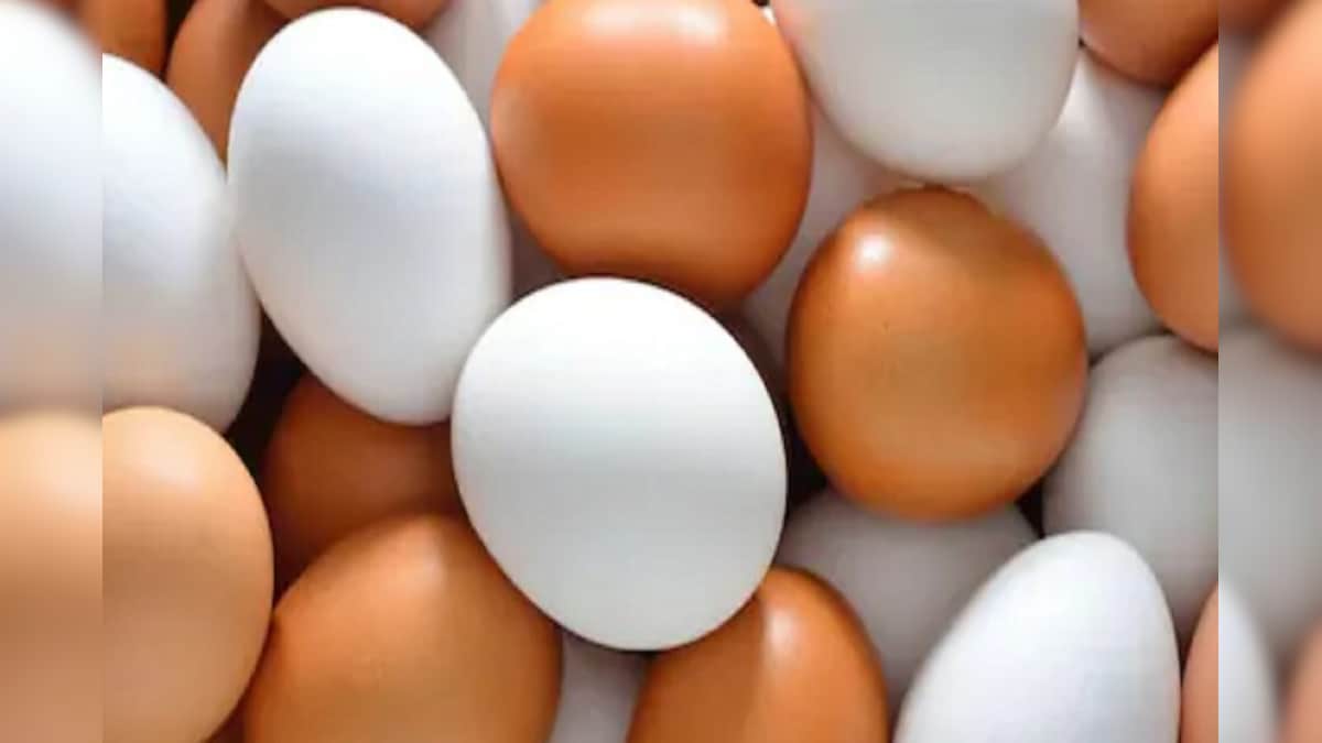 Fake Egg Alert || Health TIPS: Fake Egg Alert here is how to ...