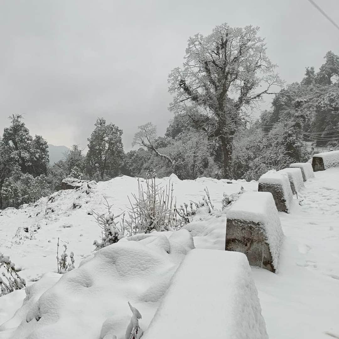 𝐌𝐚𝐲𝐮𝐝𝐢𝐚 𝐏𝐚𝐬𝐬 𝐈𝐧 𝐀𝐫𝐮𝐧𝐚𝐜𝐡𝐚𝐥 𝐏𝐫𝐚𝐝𝐞𝐬𝐡 𝐑𝐞𝐜𝐞𝐢𝐯𝐞𝐬 𝐈𝐭𝐬 𝐅𝐢𝐫𝐬𝐭 𝐒𝐧𝐨𝐰𝐟𝐚𝐥𝐥 𝐎𝐟 𝐓𝐡𝐞 ...