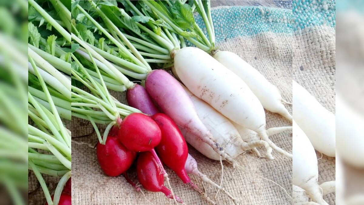Benefits of Raddish: মূলাৰ নাম শুনিলেই মুখ ঘূৰাই নেকি? জানক মূলাৰ ...