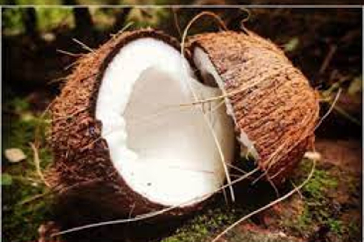 health benefits of eating coconut: আপুনি প্ৰতিদিনে এটা ডাব খাই আছে নেকি ...