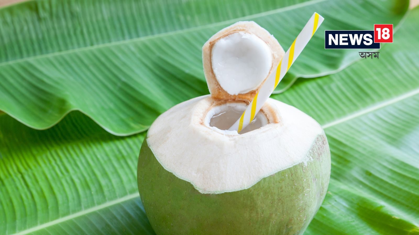 health benefits of eating coconut: আপুনি প্ৰতিদিনে এটা ডাব খাই আছে নেকি ...