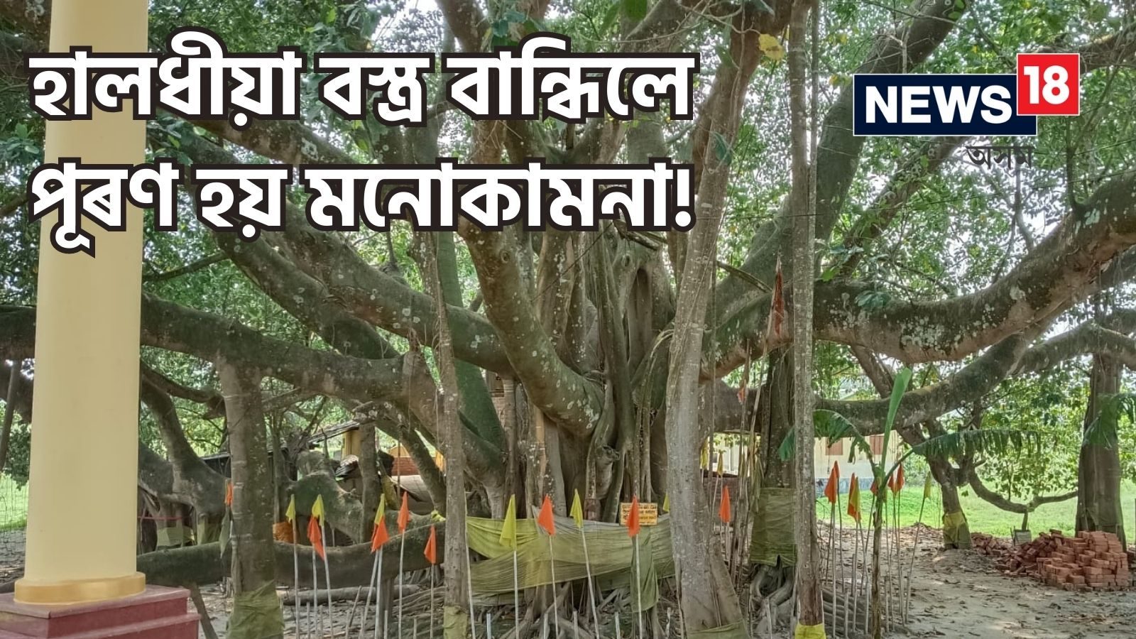 Bokakhat News : হালধীয়া বস্ত্ৰ বান্ধিলে পূৰণ হয় মনৰ কামনা! অসমৰ ক’ত ...