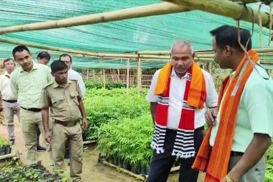 Padmashree Jadav Payeng planted trees after visiting various nurseries ...