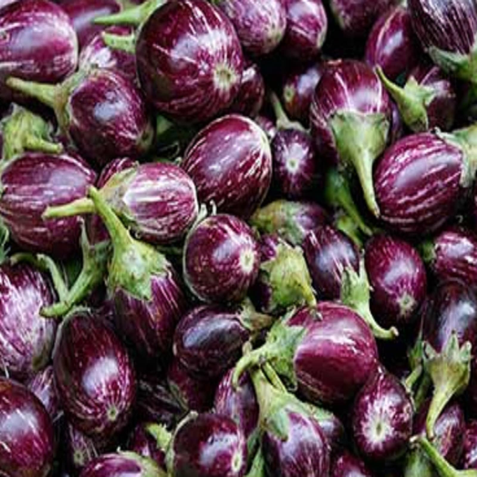 brinjal is not a vegetable ?বেঙেনা কিন্তু পাচলি নহয়, ফলহে আচলতে! কাৰণ ...