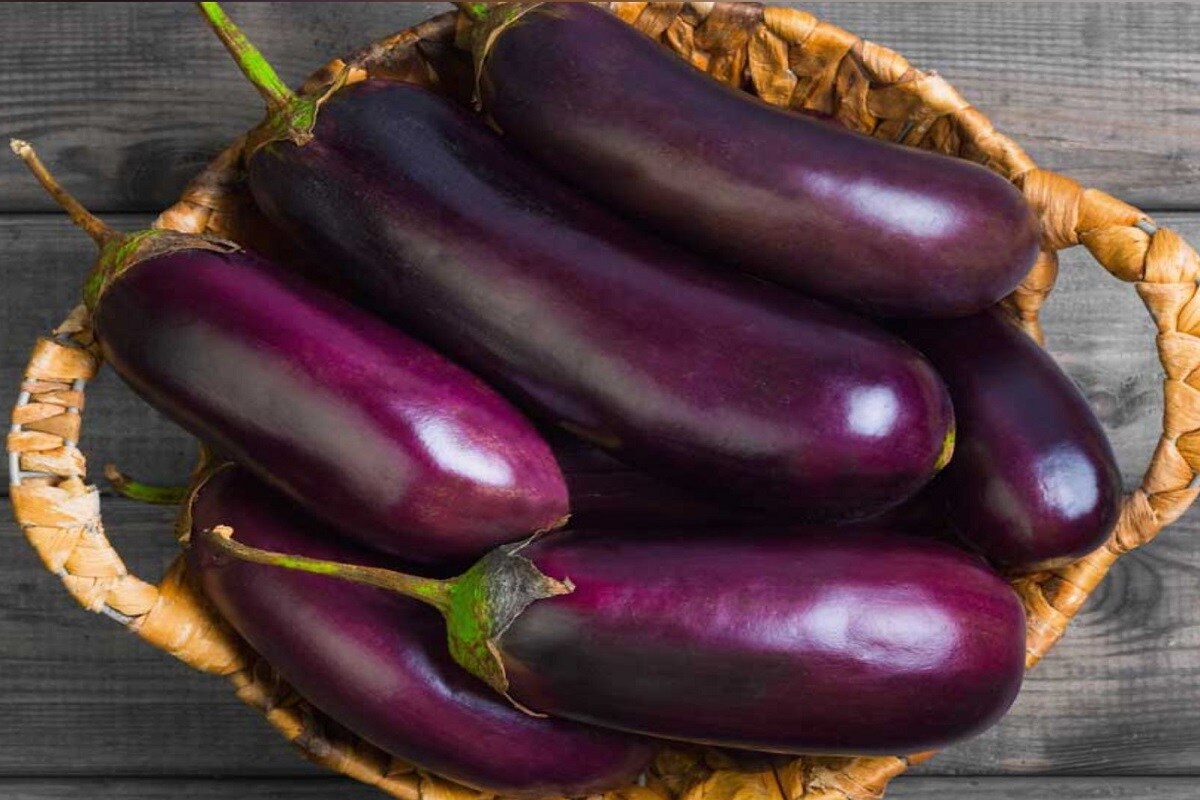 eggplant। eggplant without worm। wormless eggplant। পোক-পৰুৱাৰ থকা ...