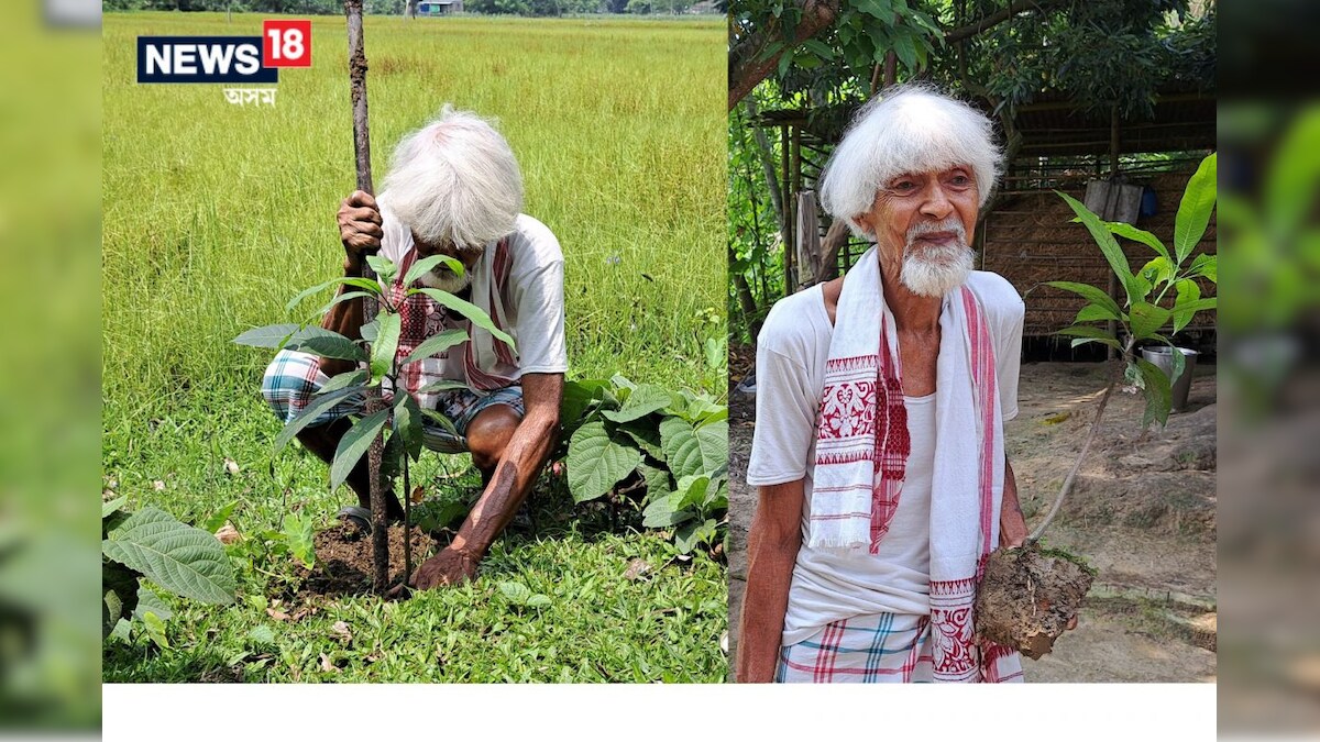 Biren Das popularly known as Mandela has planted more than 50000 saplings in nalbari Assam ...