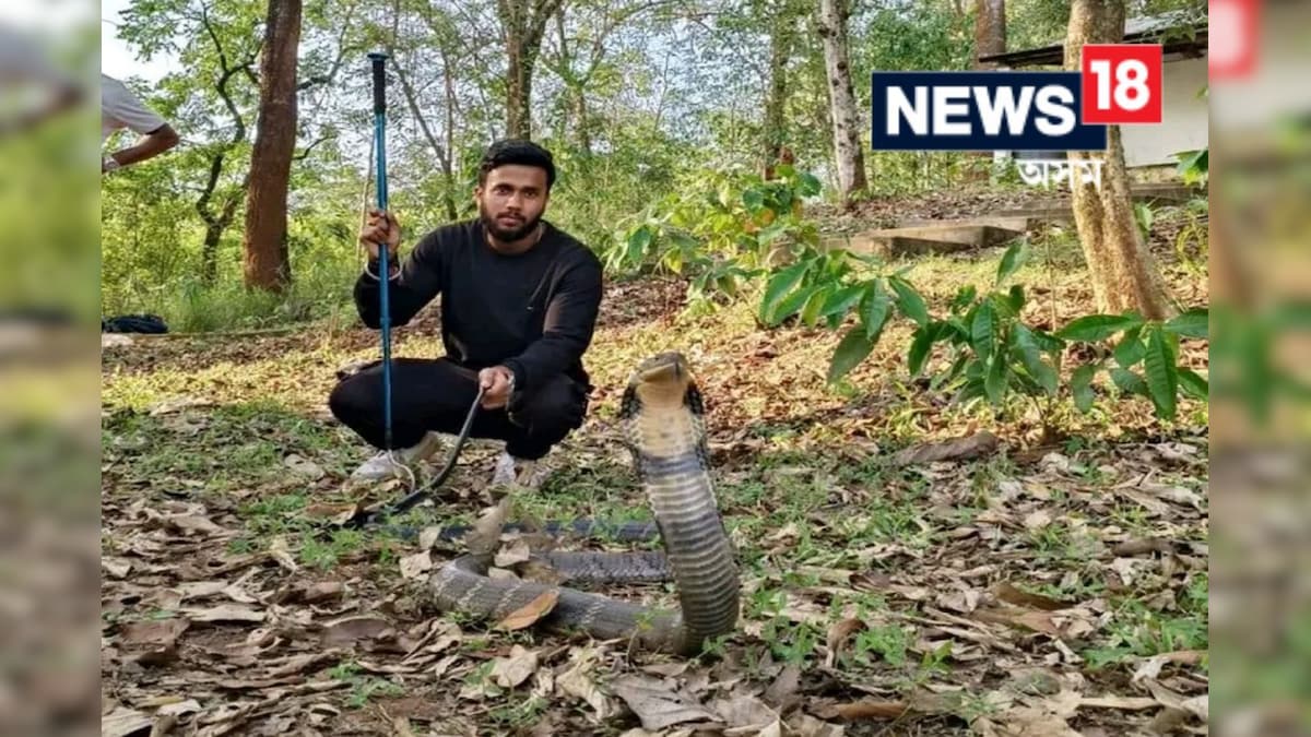 Snake Rescuer: ২০ বাৰ সাপে দংশন কৰাৰ পিছতো এৰা নাই এই কাম, সৰ্প ...