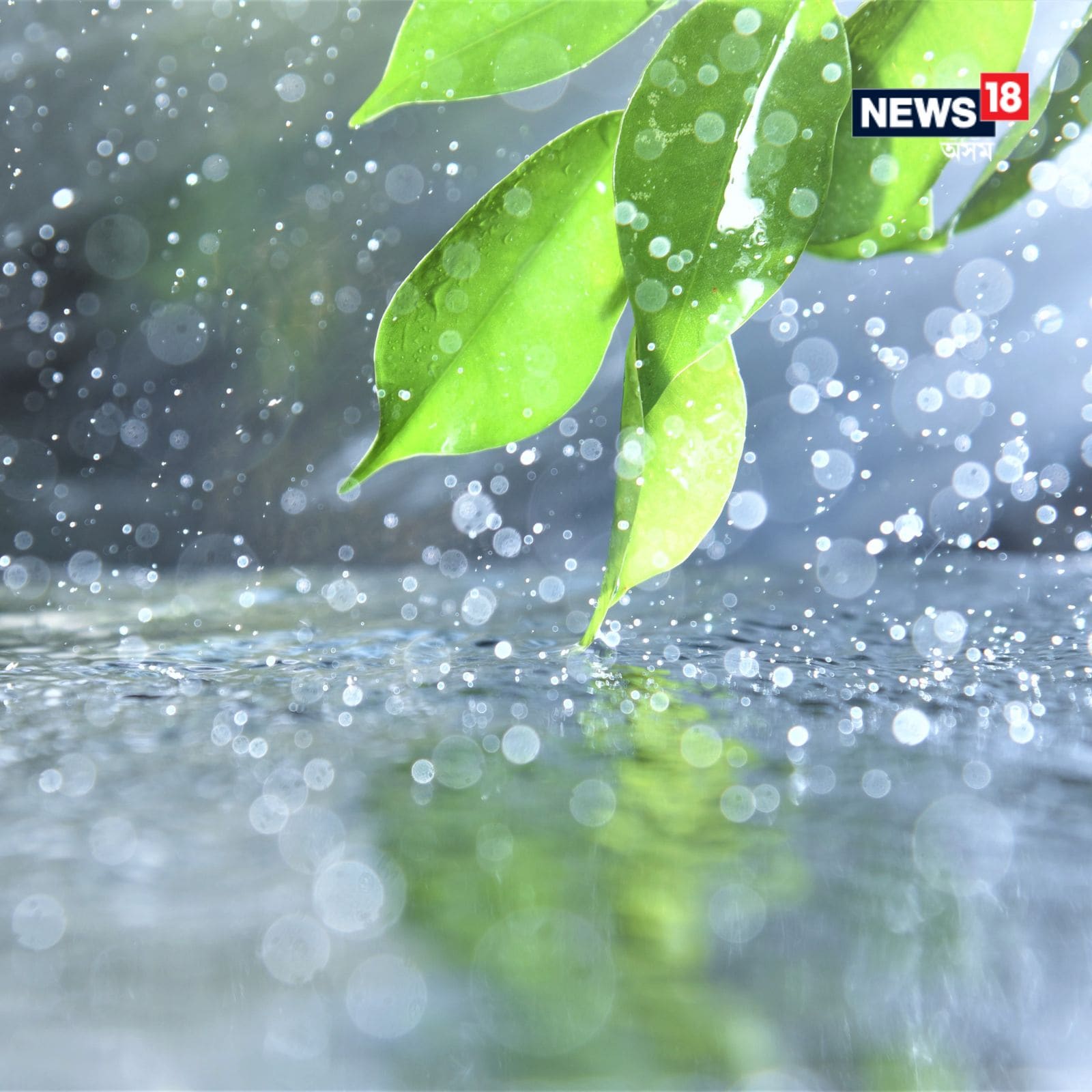 Weather Update: বতৰে ধাৰণ কৰিব কালৰূপ! ক’ত-ক’ত হ’ব ভয়ংকৰ বতাহ-বৰষুণ ...