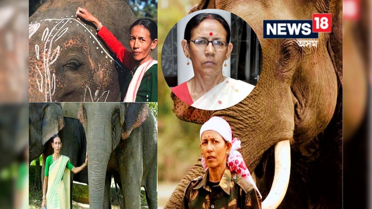 Padma Shri Parbati Barua: পদ্মশ্ৰী পাৰ্বতী বৰুৱাঃ ৰাজকন্যাৰ পৰা হাতীৰ ...