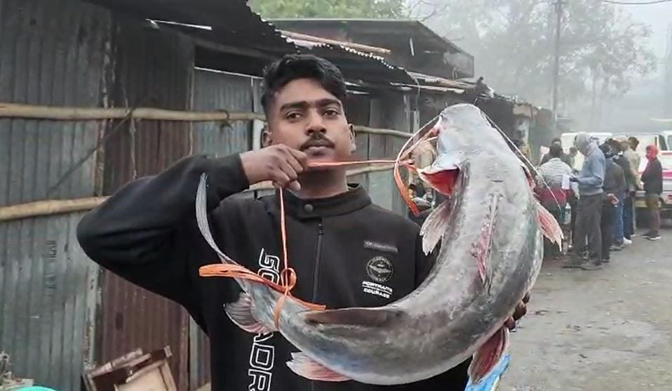 Magh Bihu Uruka: ৰাজ্যৰ বিভিন্ন বজাৰ, ঘাটসমূহত উজান ৰৌ, ভকুৱা, আৰি ...