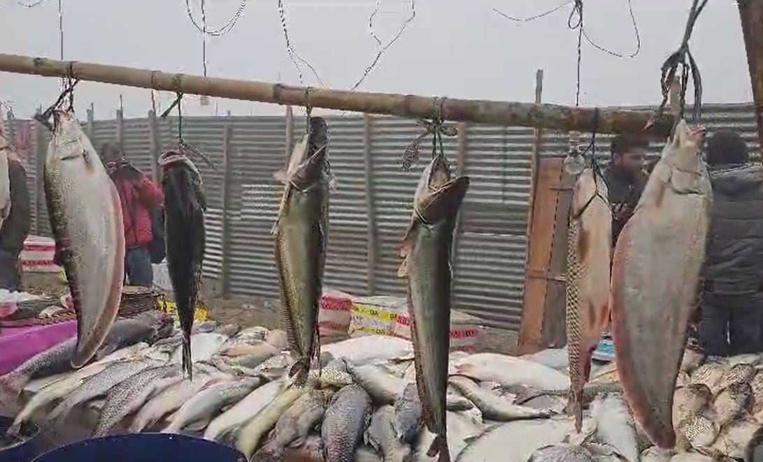 Magh Bihu Uruka: ৰাজ্যৰ বিভিন্ন বজাৰ, ঘাটসমূহত উজান ৰৌ, ভকুৱা, আৰি ...