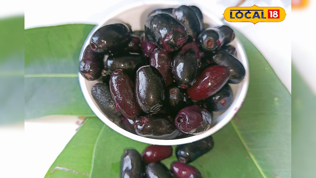 Health Benefits of Java Plum: ডায়েবেটিছ ৰোগীৰ বাবে মহৌষধ এইবিধ ফল, এই ...