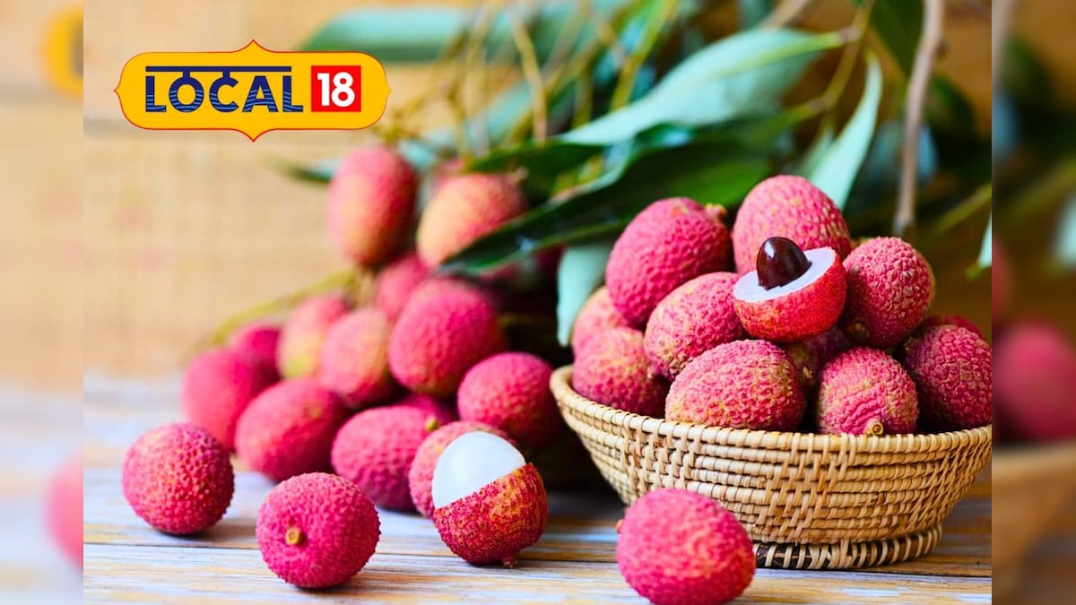 লিচু খোৱাৰ পূৰ্বে অৱলম্বন কৰক এইবোৰ সাৱধানতা, নহ'লে হ'ব পাৰে বিপদ ...