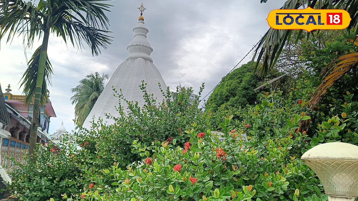 Historic Ixora plant at Barpeta Satra, hand-planted by Vaishnavite guru ...