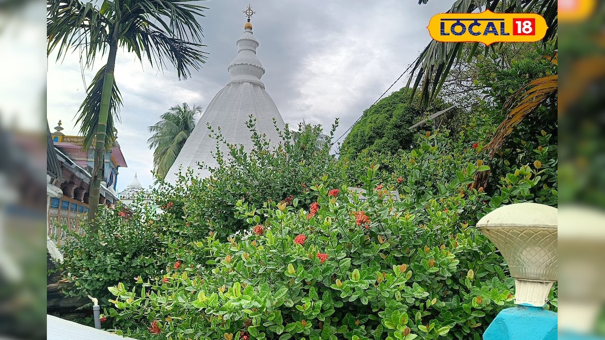 Historic Ixora plant at Barpeta Satra, hand-planted by Vaishnavite guru ...