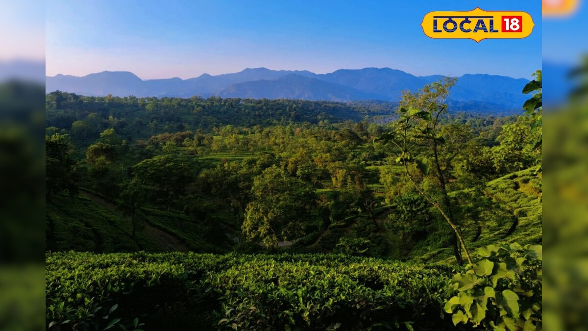 Cachars Latartal Punjee paradise for nature enthusiasts|| Silchar ...