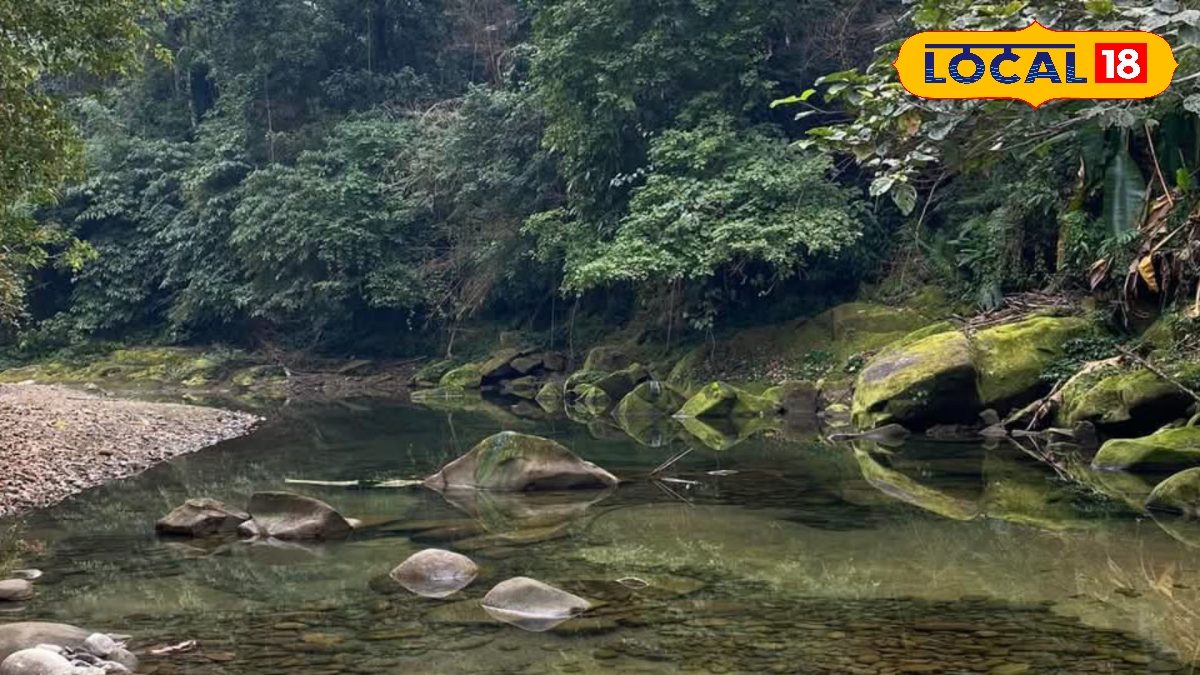Borail Eco Camp reopened for Tourists | Assam Tourism : পৰ্যটকসকলৰ বাবে ...