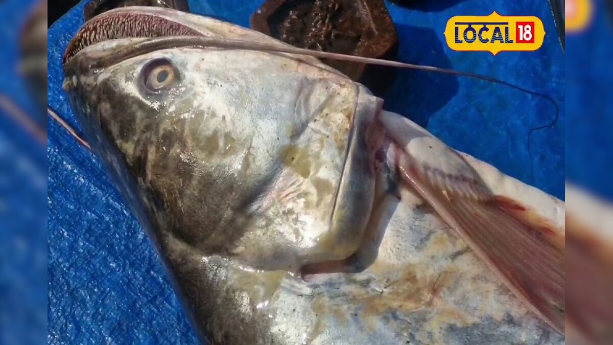 Bhogali Bihu Uruka 2025: শিৱসাগৰত উৰুকা বজাৰত ৰৌ-বৰালি, ভকুৱাৰ পয়োভৰ ...