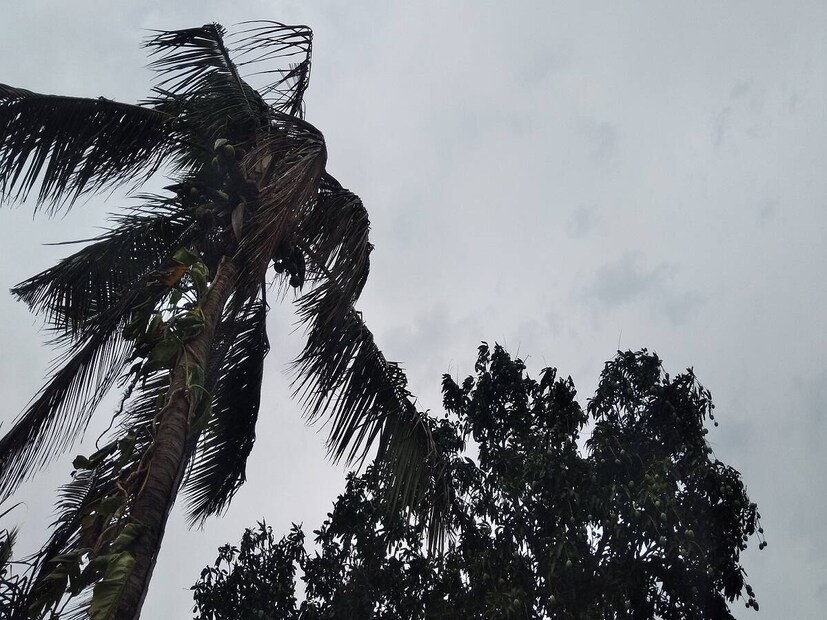 Assam Weather Reports: আজি প্ৰবল ধুমুহা-বৰষুণে কঁপাব ৰাজ্য, আঞ্চলিক বতৰ ...