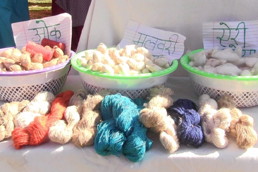 PHOTOS: रेशम के उत्पादन से आसान हुई यहां महिलाओं की ज़िंदगी – Silk ...