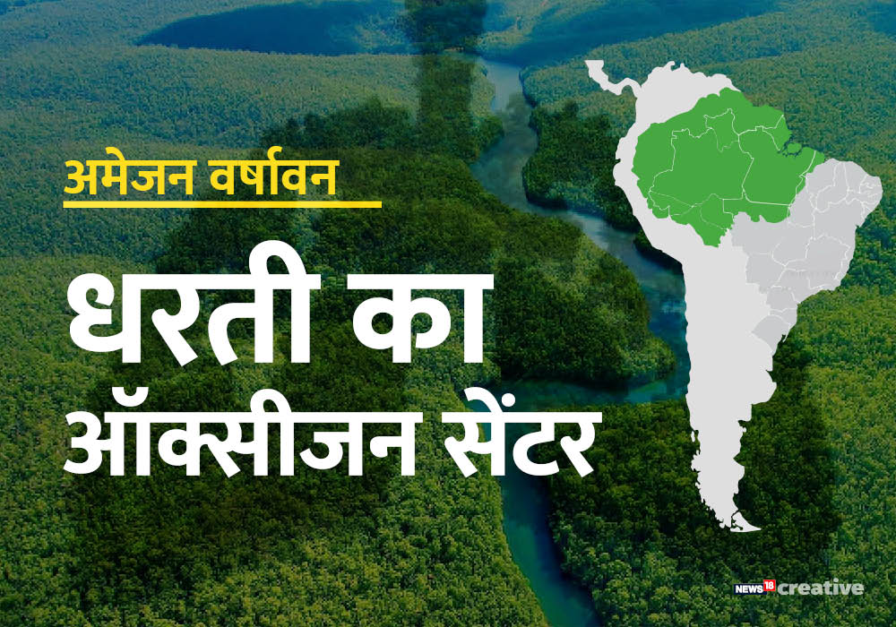 पर्यावरण के लिए कितने मददगार अमेजन के वर्षावन - how amazon forest help ...