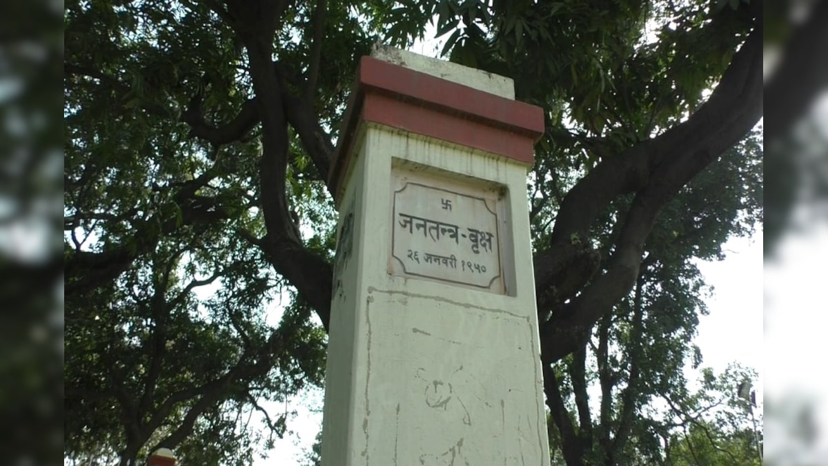 BHU में है ऐतिहासिक जनतंत्र वृक्ष, जो 70 सालों से बयां कर रहा है ...