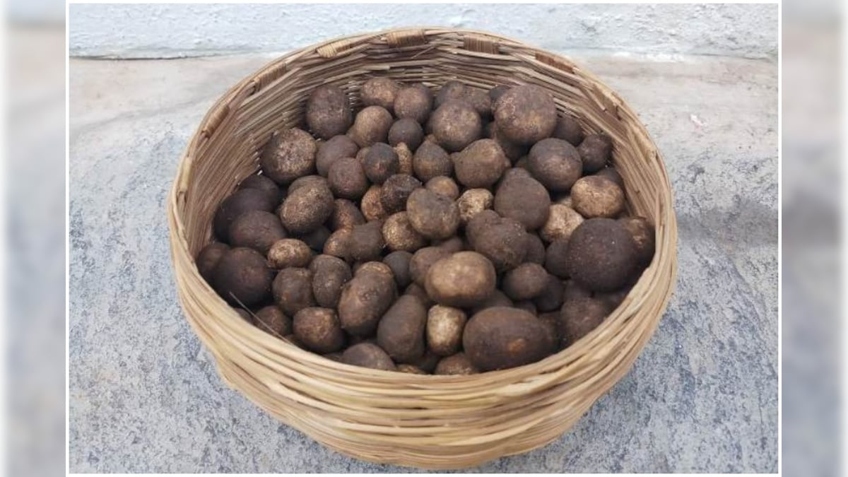 मानसून आते ही बाजार में आई सबसे महंगी सब्जी, खरीदने के लिए ढीली करनी ...