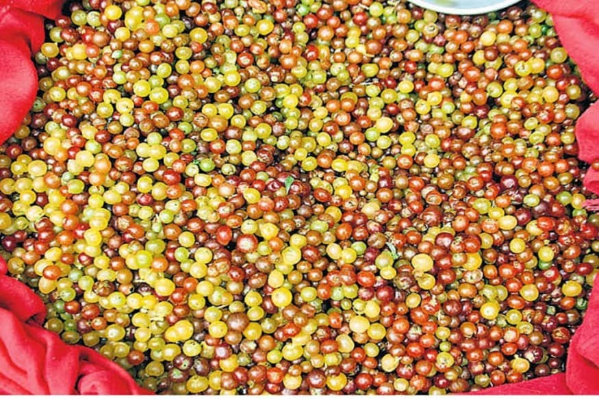 अब संसद भवन में लहलहाएगा राजस्थान के रेगिस्तान का रसीला और रंग-बिरंगा ...