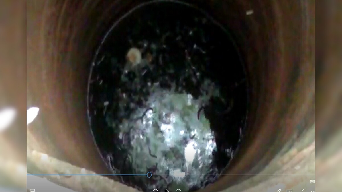 झांसी के इस पुराने कुएं में अचानक नजर आने लगे हजारों सांप, ग्रामीणों ...