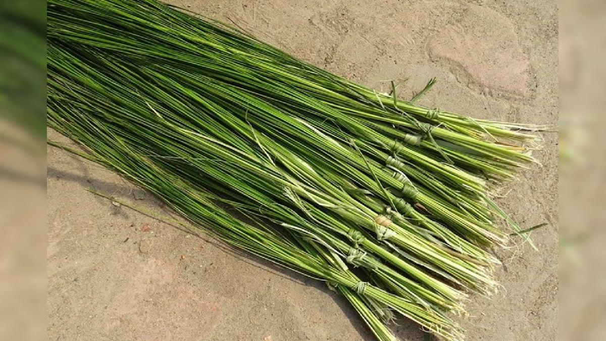 Pitru Paksha 2020 worship of ancestors is considered incomplete without ...