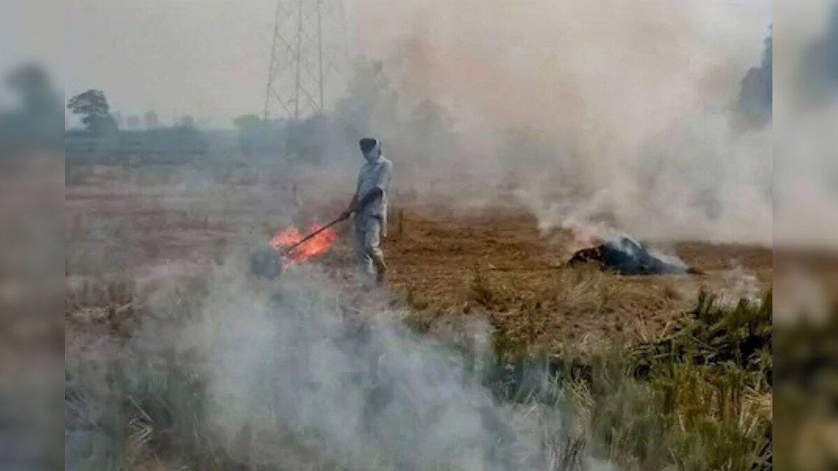 Bihar Pollution Report: 11 महीने में मुजफ्फरपुर ने बनाया अनचाहा रिकॉर्ड ...