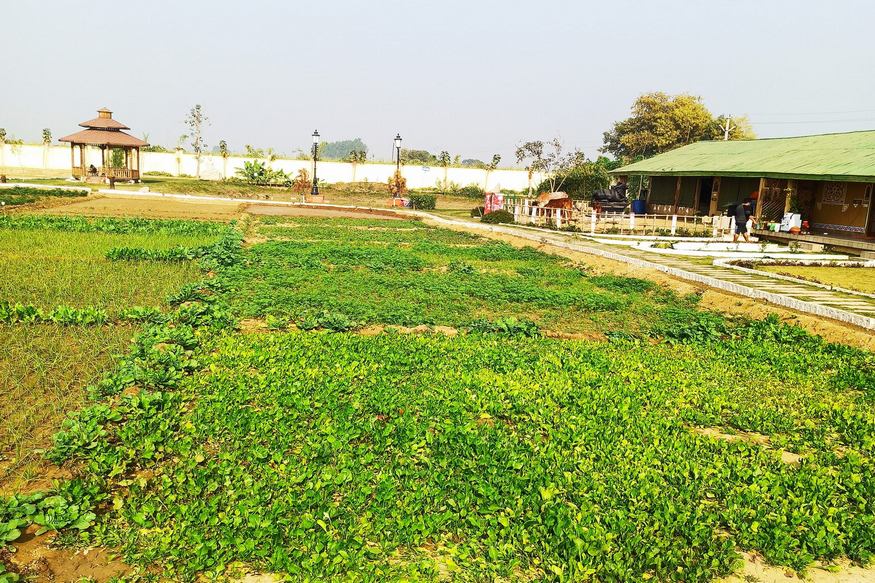 these comments are coming on social media about viral pictures of kumar ...