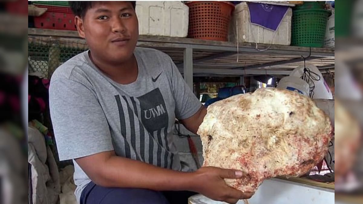 समुद्र किनारे गरीब मछुआरे को मिली व्हेल की उल्टी, रातों-रात बन गया ...