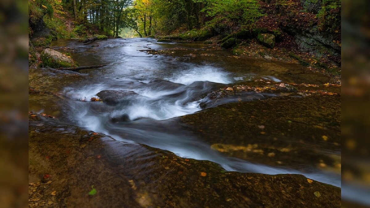 Amazon के घने जंगल में 86 डिग्री पर खदबदा रही रहस्यमयी नदी, पलभर में ले ...