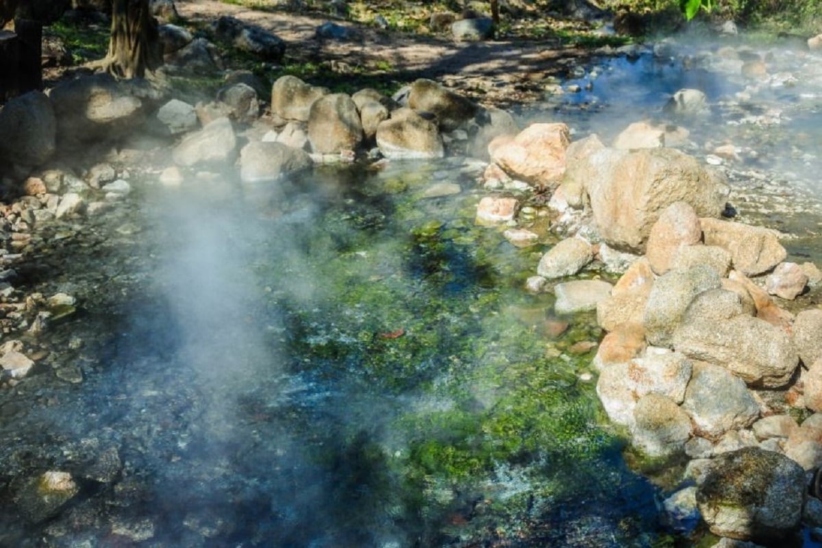 Amazon के घने जंगल में 86 डिग्री पर खदबदा रही रहस्यमयी नदी, पलभर में ले ...