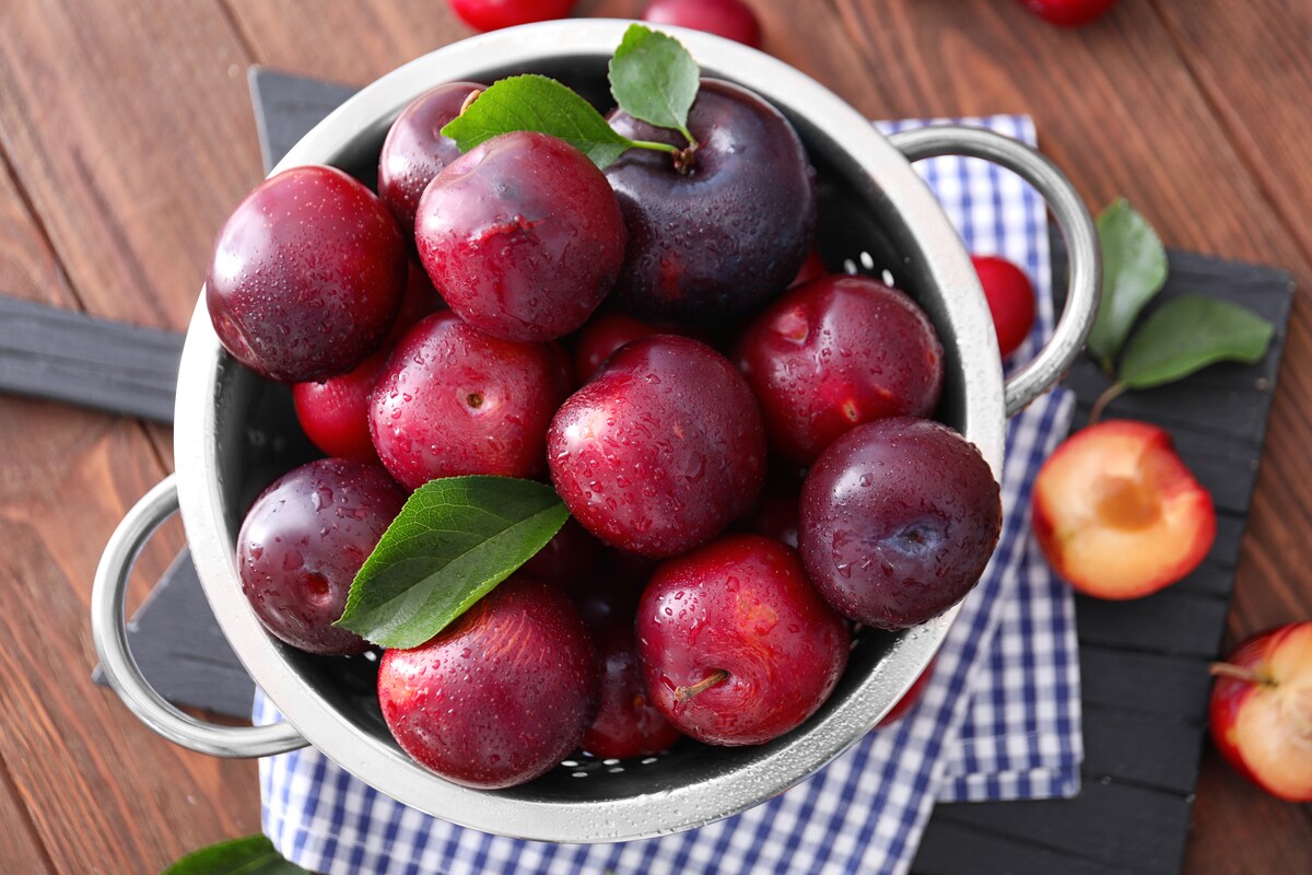How Many Red Plums Make A Pound Eating Expired How Many Red Plums Make A Pound Eating Expired
