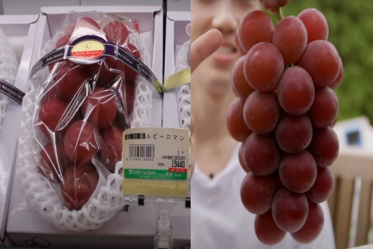 वो अंगूर जिसका 1 दाना बिकता है 35 हजार में, एक किलो के दाम में खरीद ...