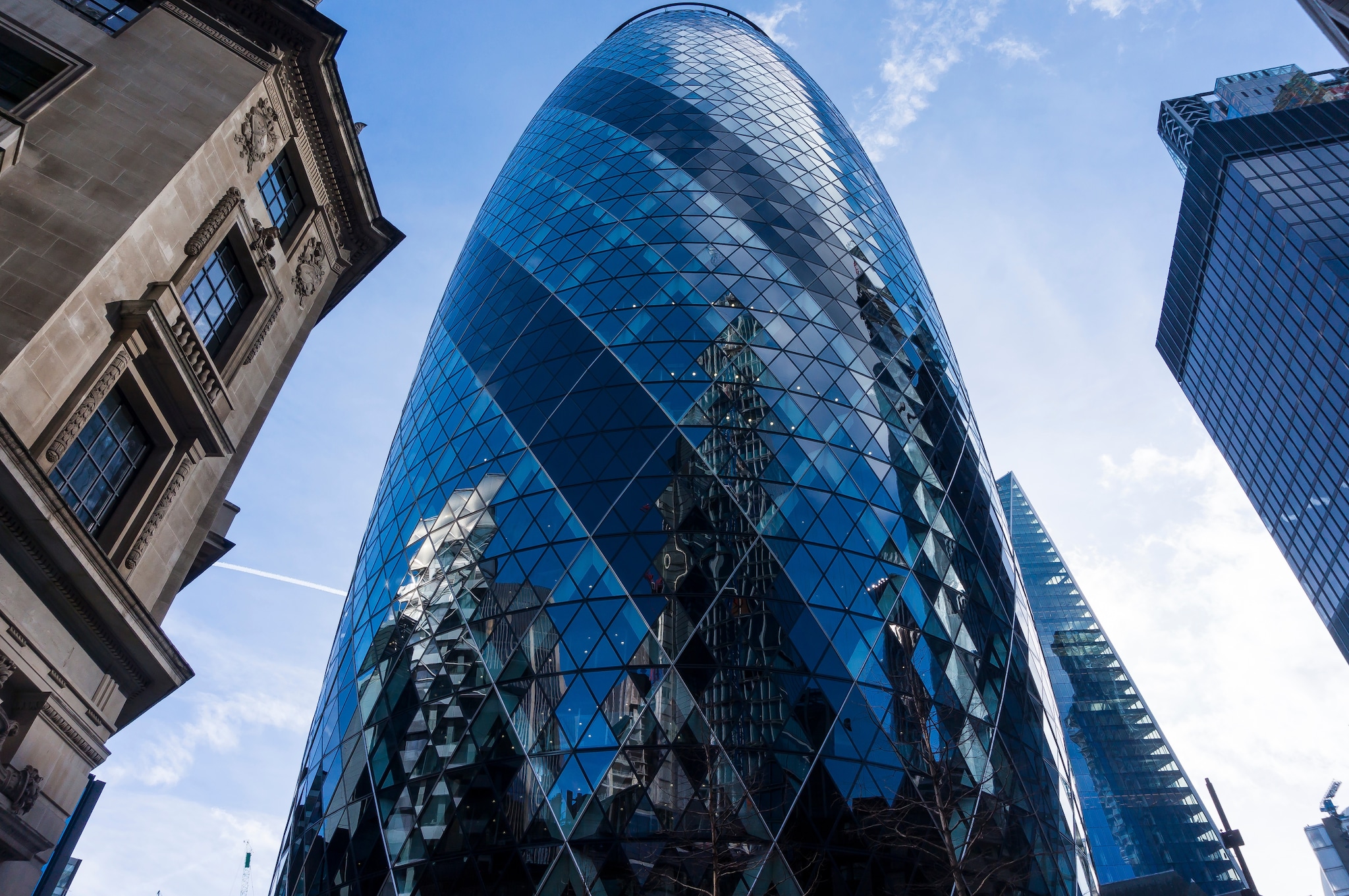 Universal mathematical formula shape of an egg - News18 हिंदी