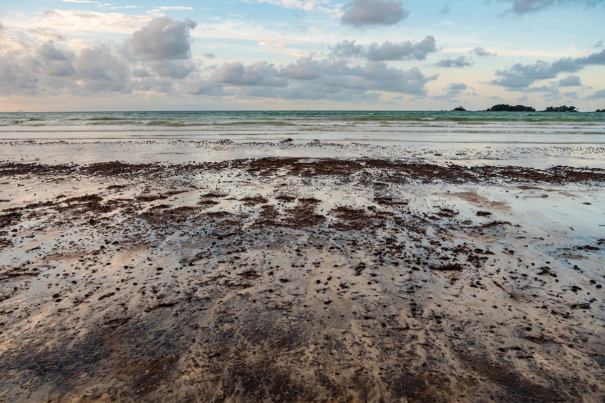 क्या होती हैं टारबाल्स, जो पाई जा रही हैं गोवा से मुंबई तक के समुद्र ...